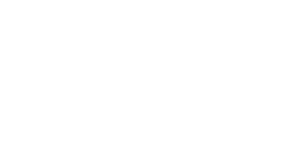 CEO Bryan Putt’s Aires Story