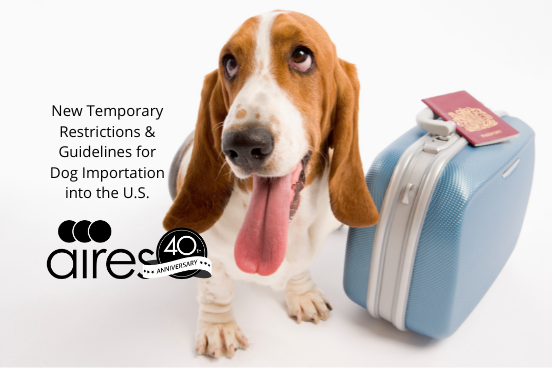 New Temporary Restrictions & Guidelines for Dog Importation into the U.S.