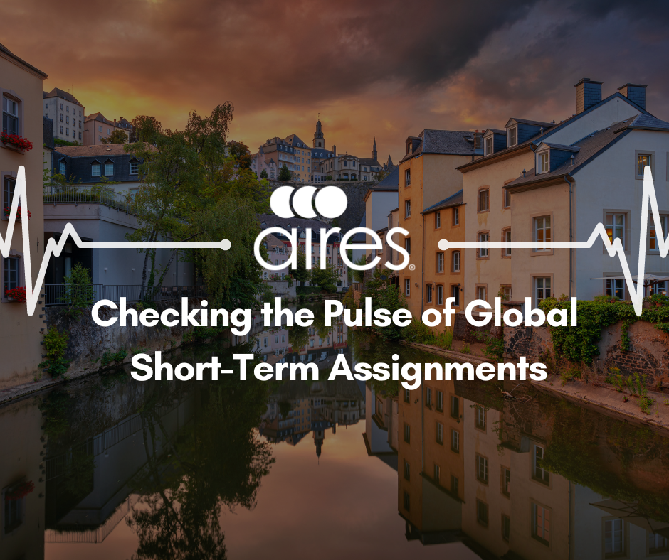 Checking the Pulse of Global Short-Term Assignments
